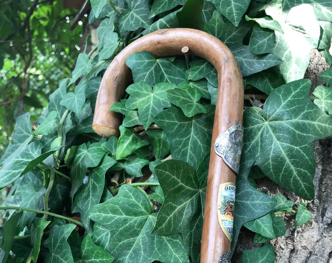 Vintage Cane germany Cane Walking Cane Antique Walking - Etsy