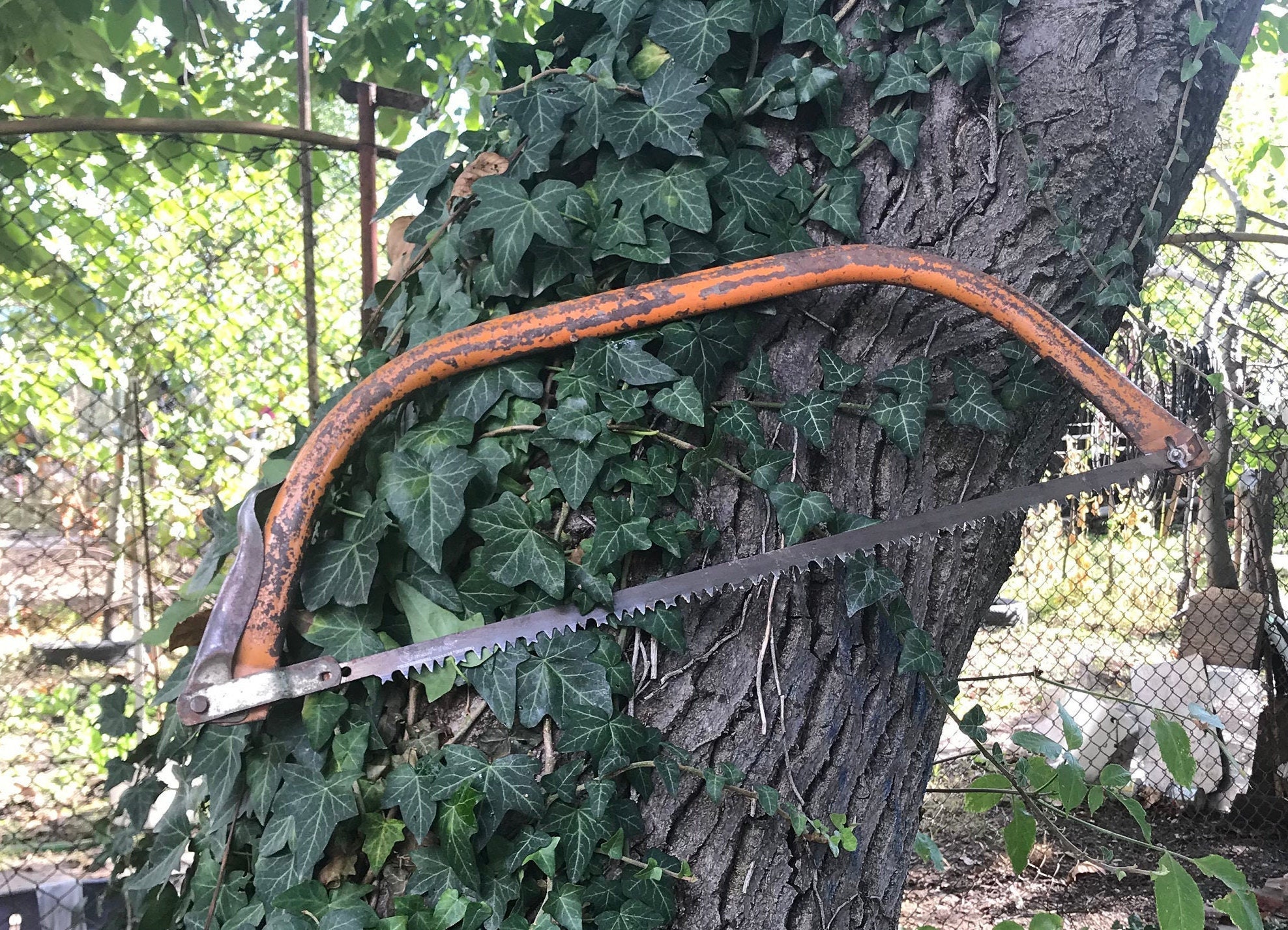 Vintage Old Saw Woodworking Hacksaw Bow Saw Large Saw antique Saw Saw ...