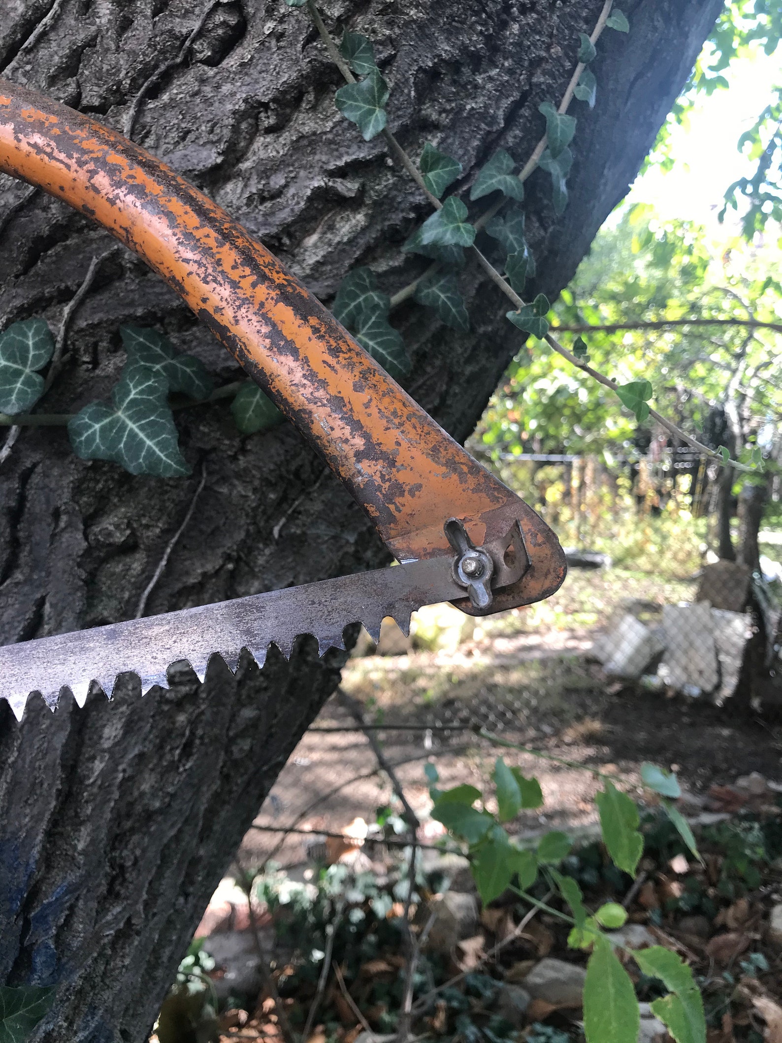 Vintage Old Saw Woodworking Hacksaw Bow Saw Large Saw antique Saw Saw ...