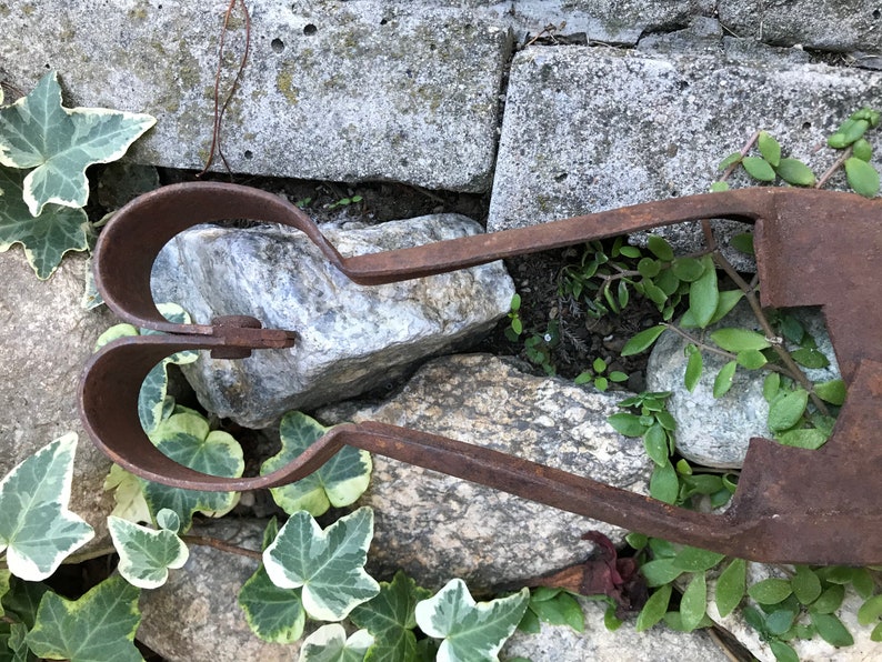 Vintage Antique Sheep Scissors Rusty Metal Sheep Shears - Etsy