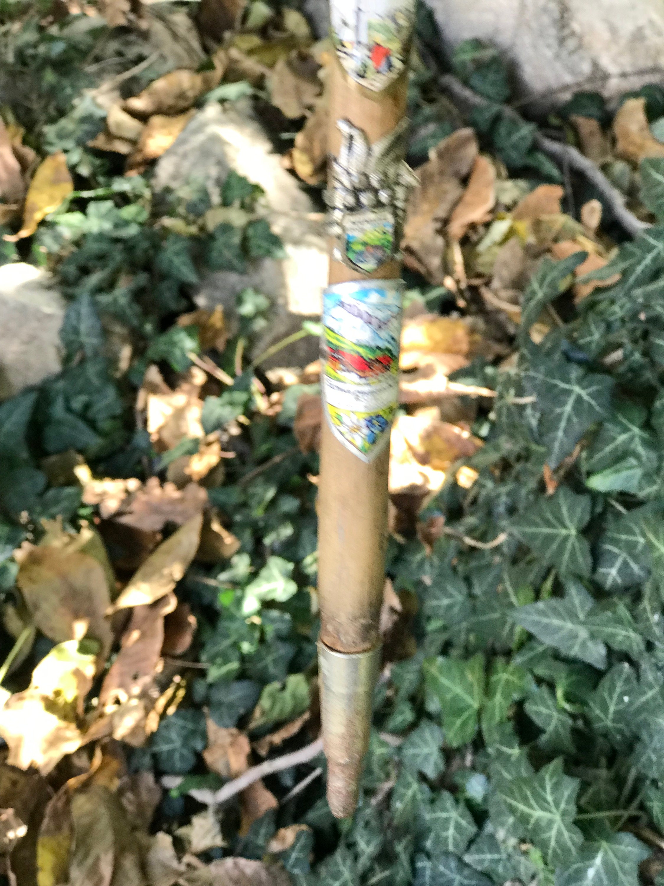 Vintage Cane - Antique Walking Stick Cane - Germany Cane - Walking Cane ...