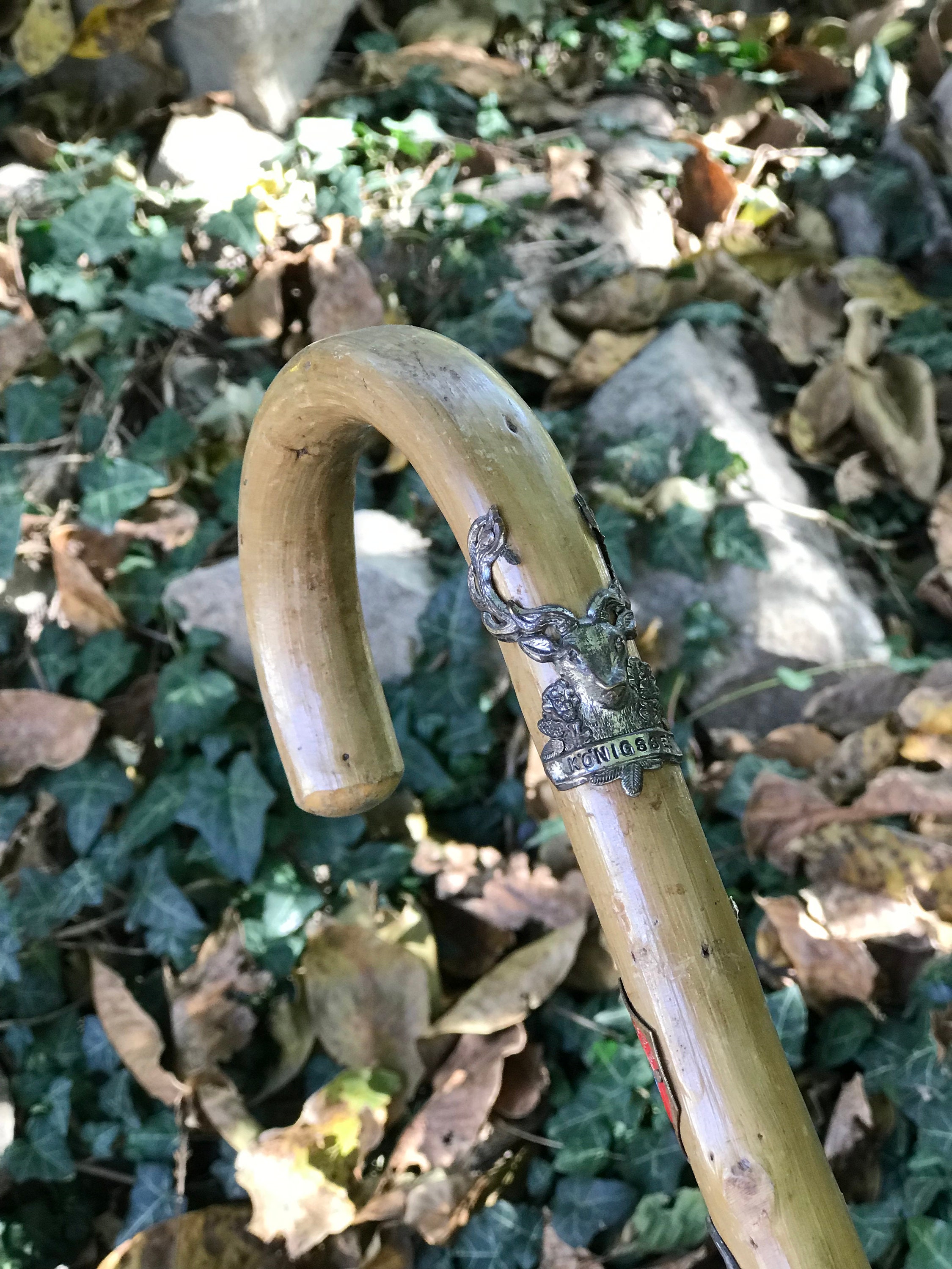 Vintage German Hiking Cane – Wooden Walking Stick With 21 Metal Badges ...