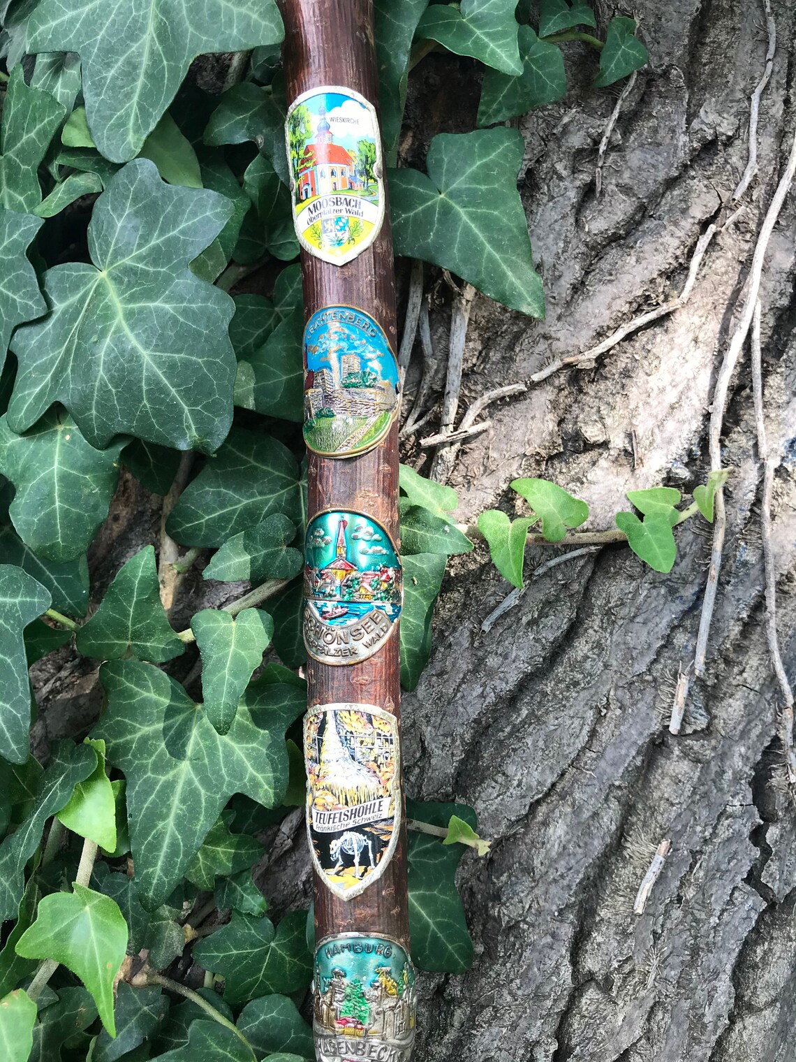 Vintage cane antique walking stick cane Germany cane | Etsy