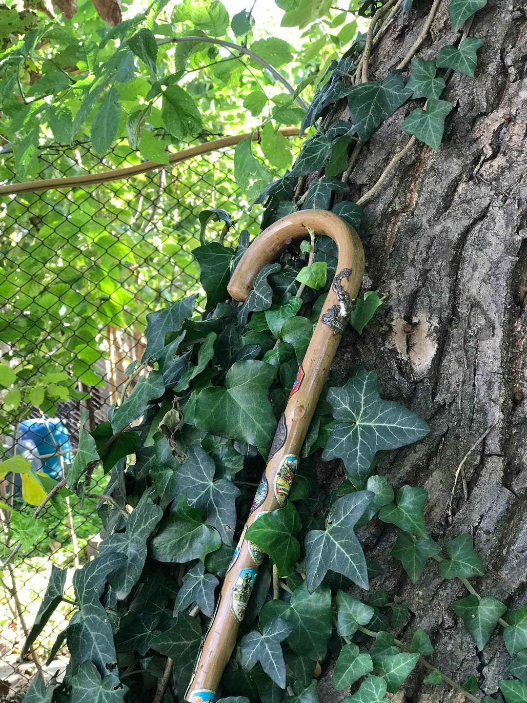 Vintage Cane -germany Cane - Walking Cane With 21 Badges - Antique ...