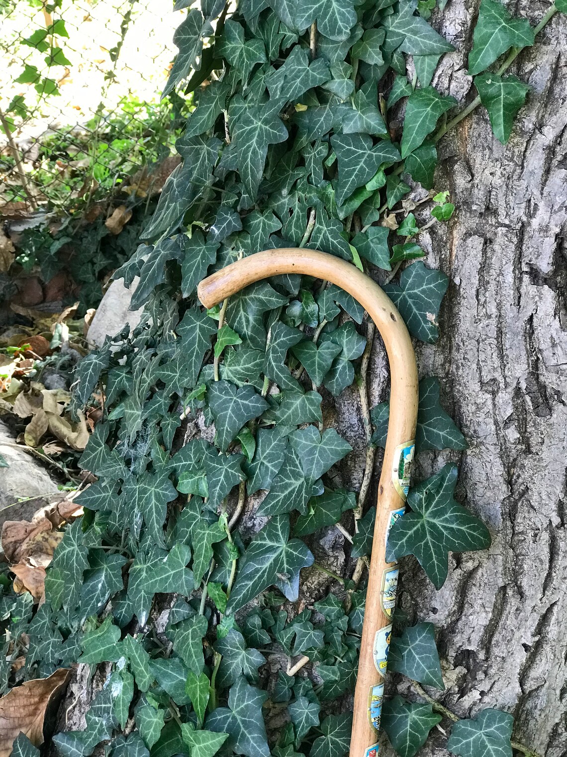 Vintage German Hiking Cane – Wooden Walking Stick With Metal Badges - Etsy