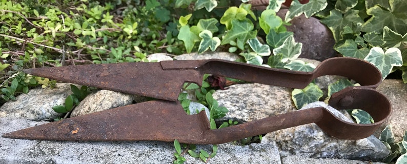 Vintage Antique Sheep Scissors Rusty Metal Sheep Shears - Etsy