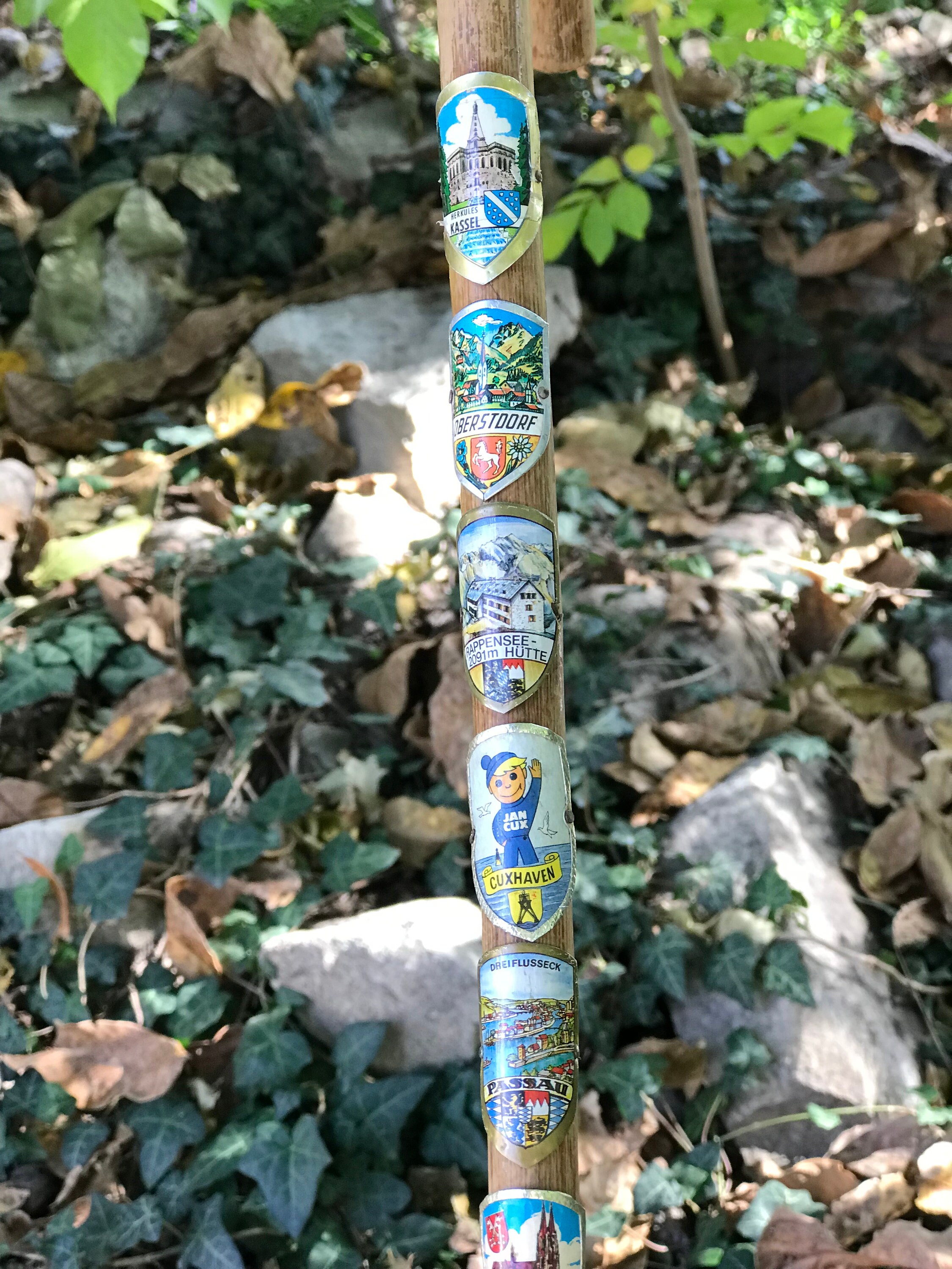 Vintage Cane - Antique Walking Stick Cane - Germany Cane - Walking Cane ...