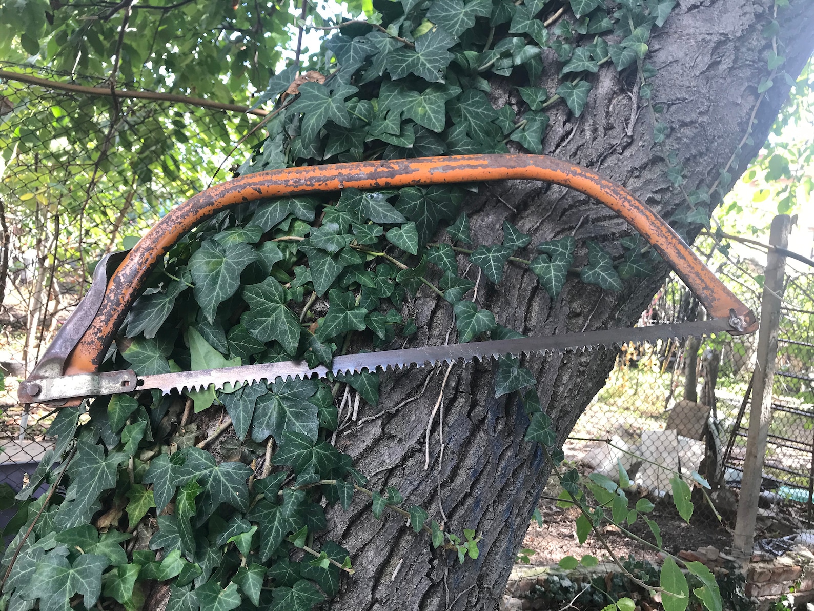 Vintage Old Saw Woodworking Hacksaw Bow Saw Large Saw antique Saw Saw ...