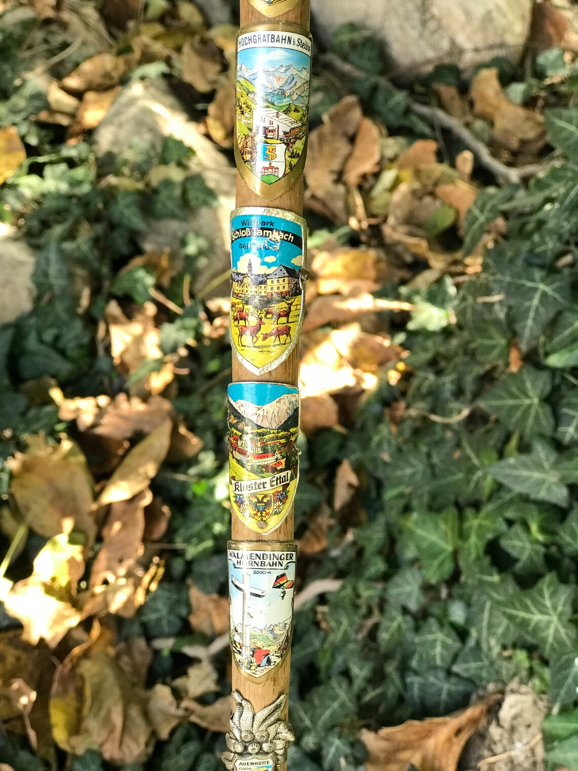 Vintage German Hiking Cane – Wooden Walking Stick With 16 Metal Badges ...