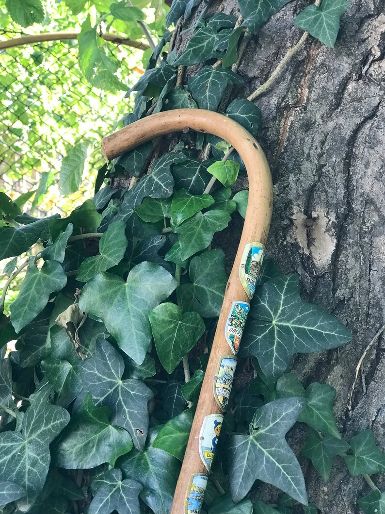 Vintage Cane Antique Walking Stick Cane Germany Cane Walking Cane With ...