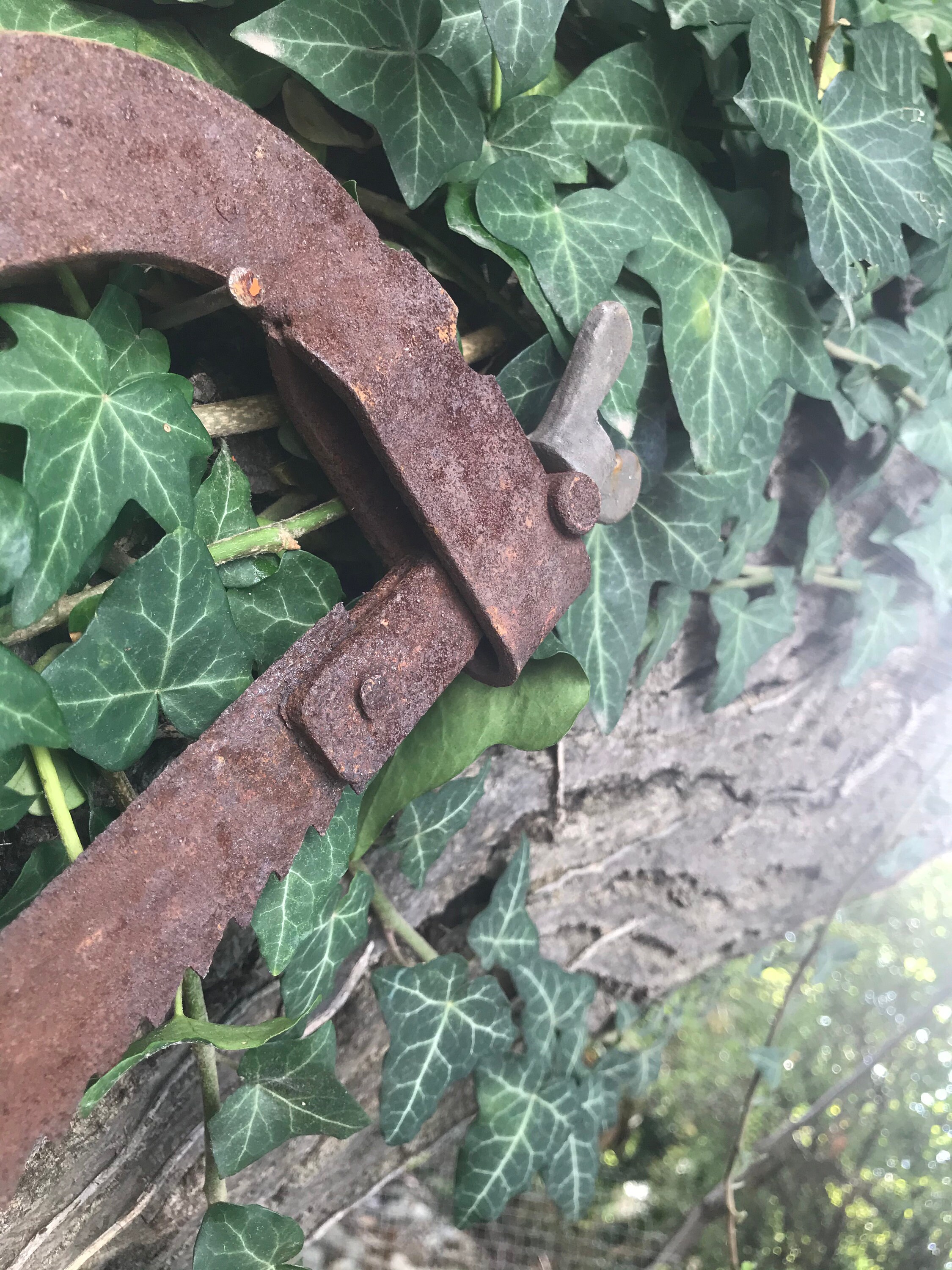 Vintage Old Saw Woodworking Hacksaw Bow Saw Large Saw antique Saw Saw ...