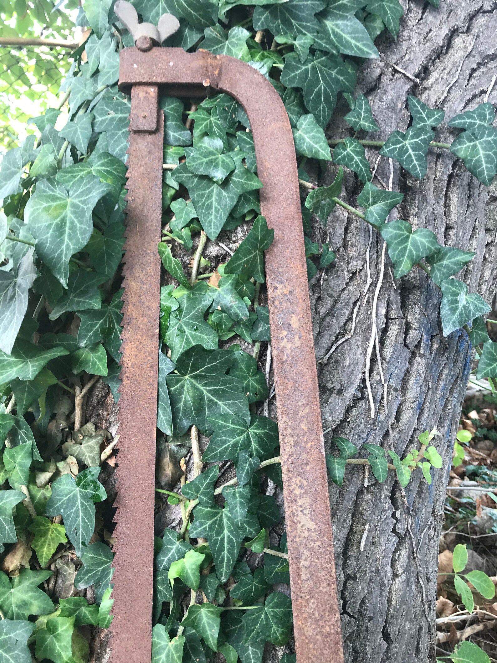 Vintage Old Saw Woodworking Hacksaw Bow Saw Large Saw - Etsy
