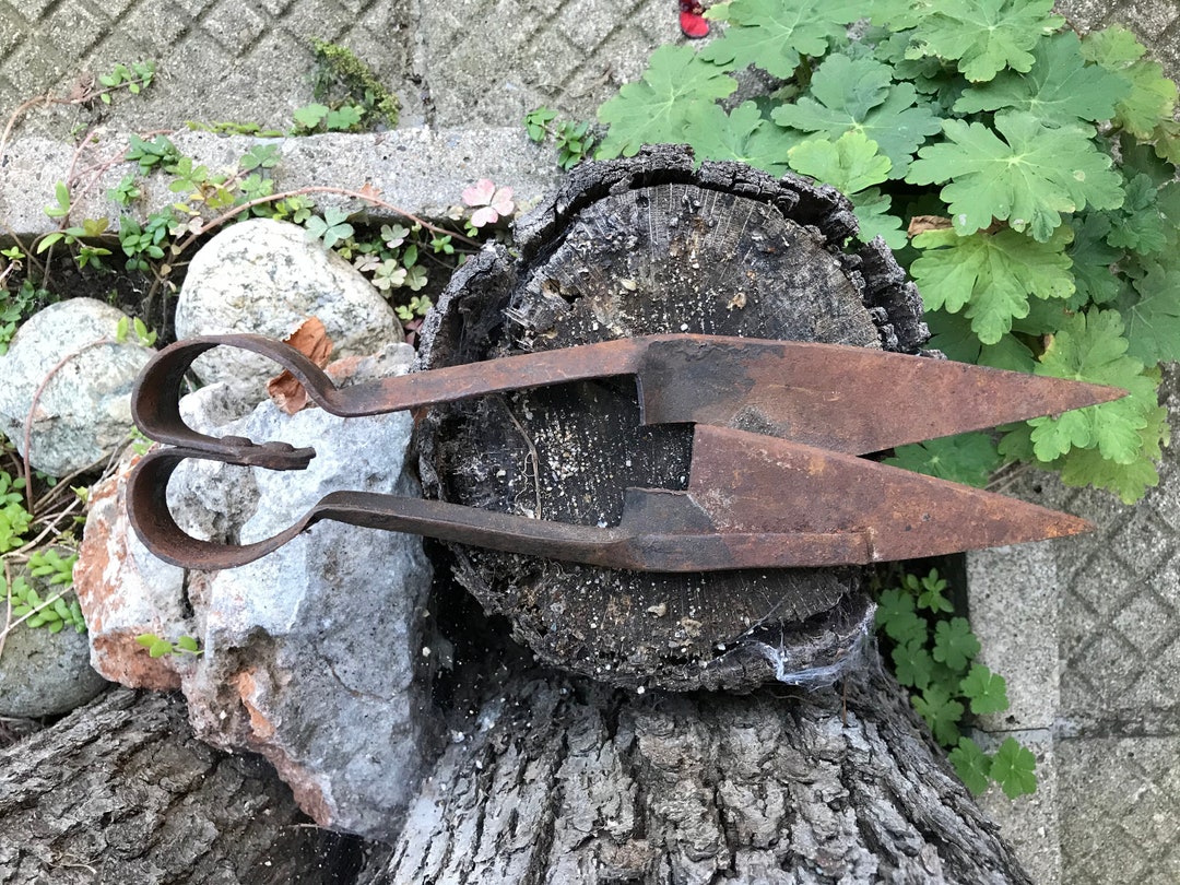 Vintage antike Schafe Schere - rostige Metall Schafscheren - große Rost ...