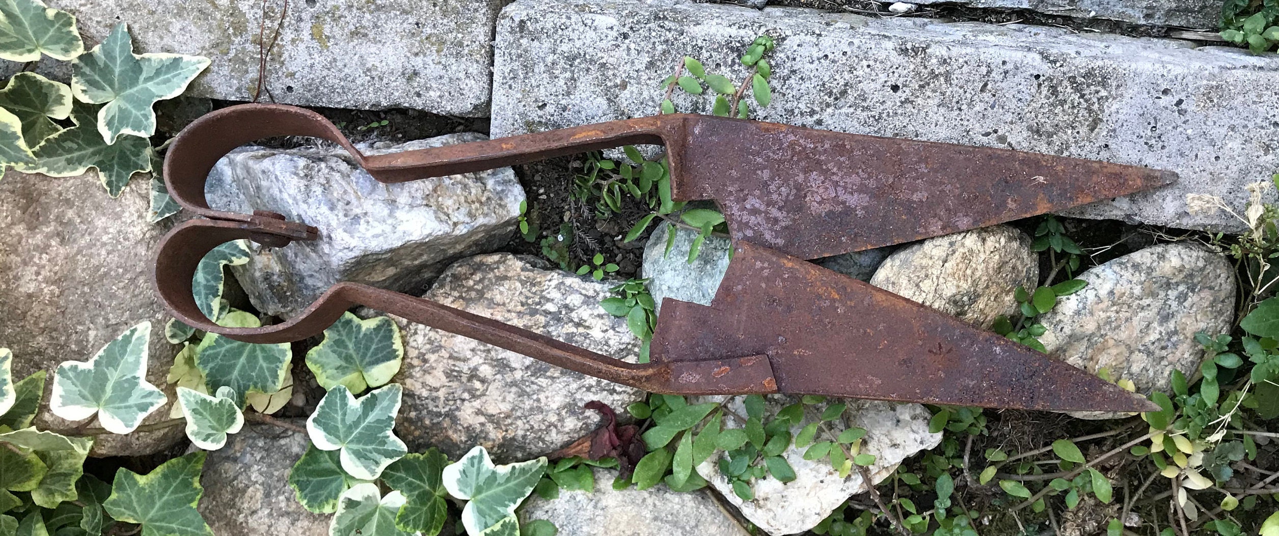 Vintage Antique Sheep Scissors Rusty Metal Sheep Shears - Etsy