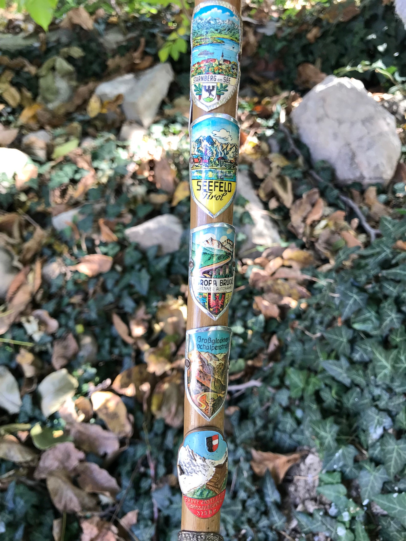Vintage German Hiking Cane – Wooden Walking Stick With 21 Metal Badges ...
