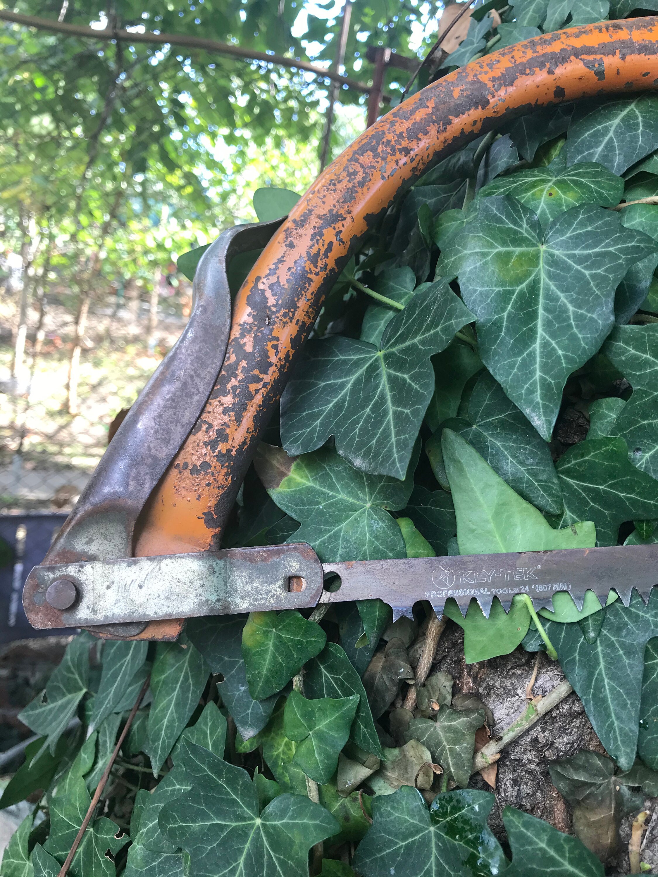 Vintage Old Saw Woodworking Hacksaw Bow Saw Large Saw antique Saw Saw ...