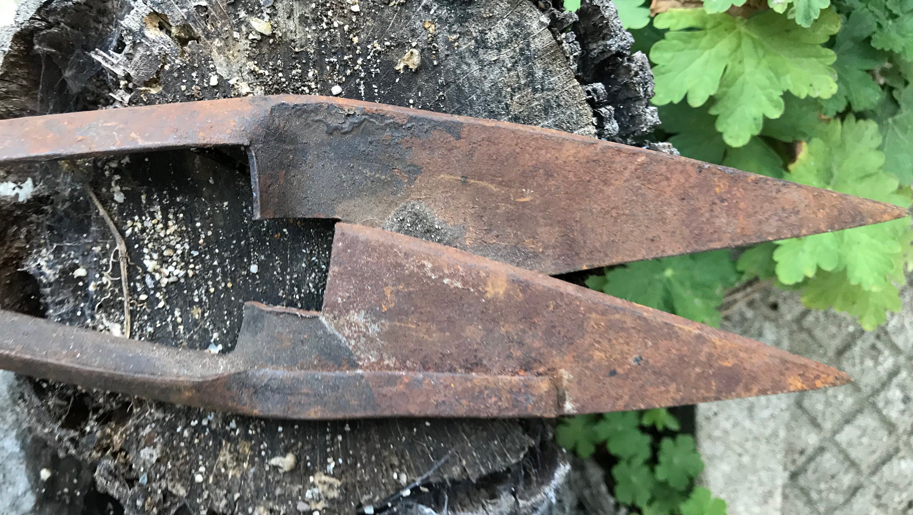 Vintage antike Schafe Schere - rostige Metall Schafscheren - große Rost ...