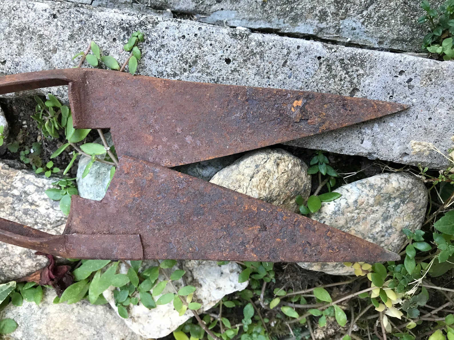 Vintage Antique Sheep Scissors Rusty Metal Sheep Shears - Etsy