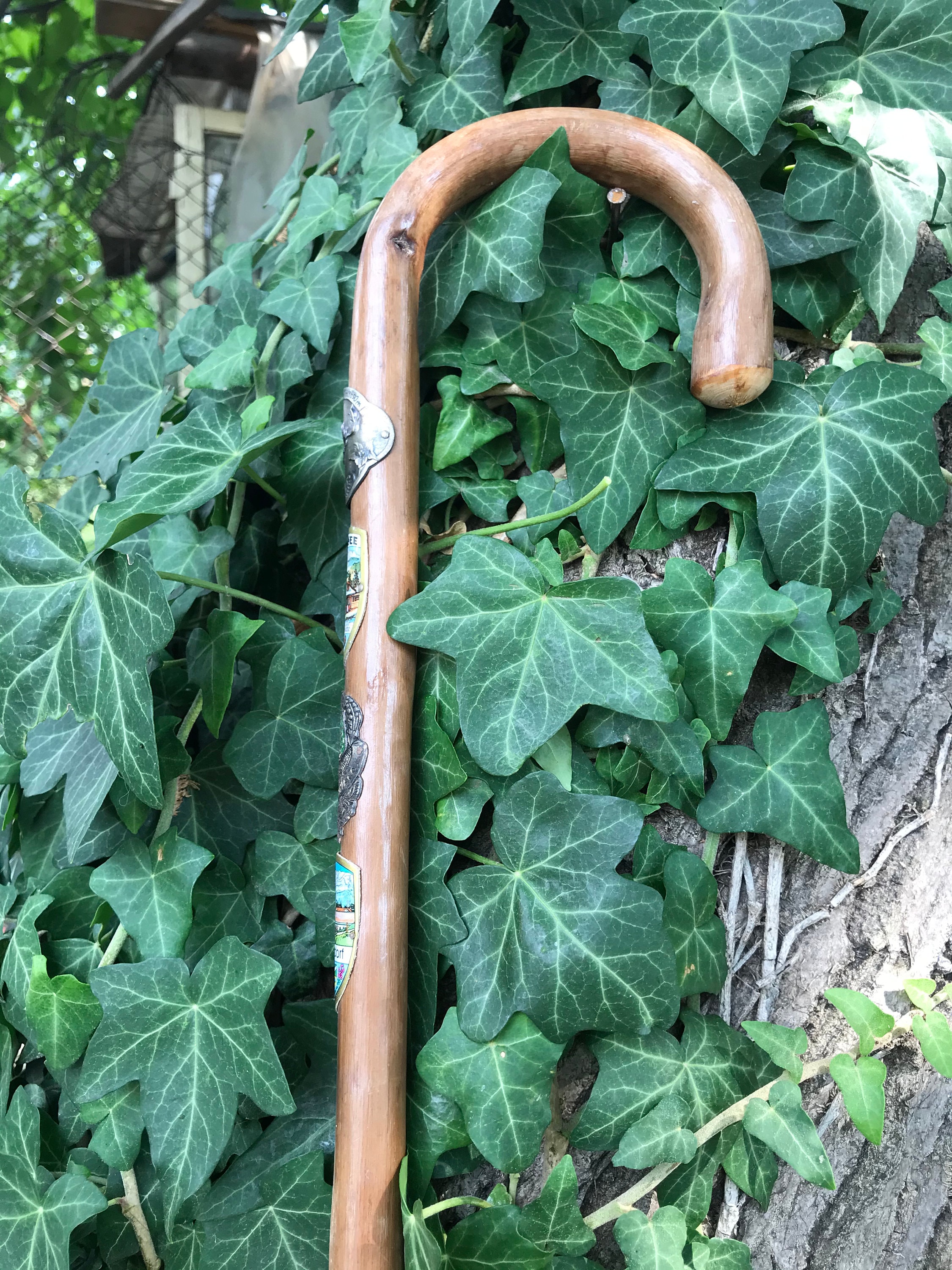 Vintage cane Germany cane walking cane antique walking | Etsy