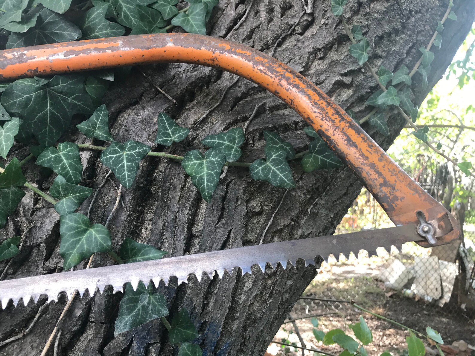 Vintage Old Saw Woodworking Hacksaw Bow Saw Large Saw antique Saw Saw ...