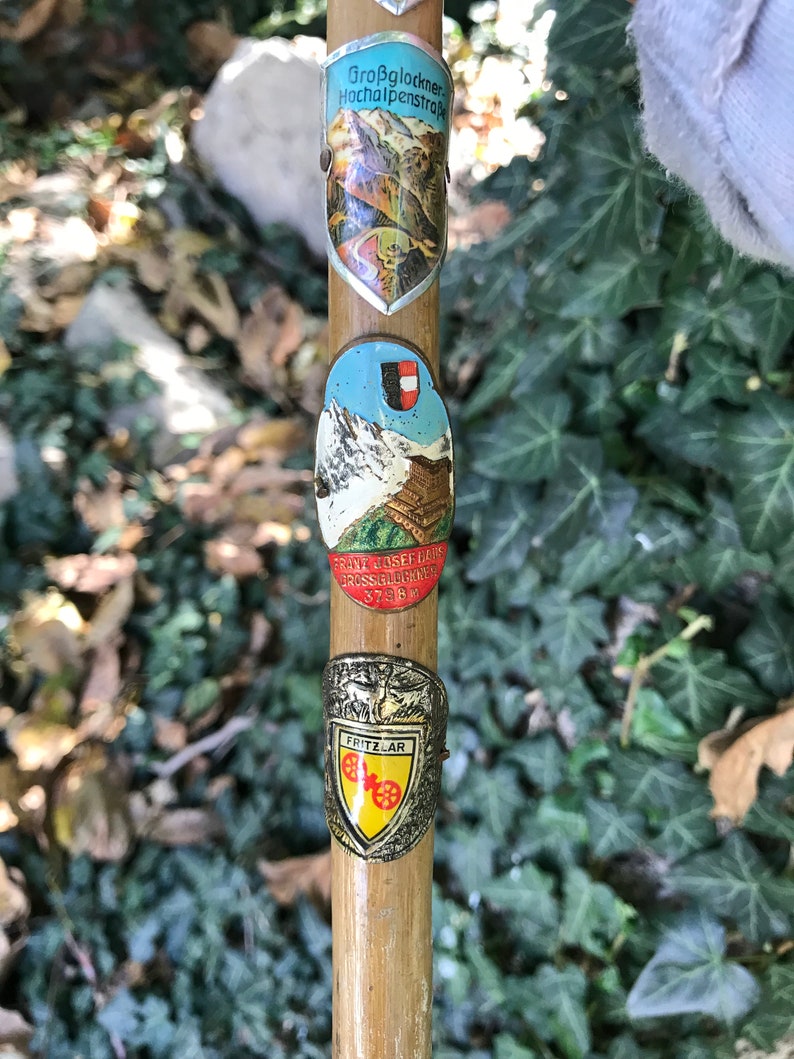 Vintage Cane -germany Cane - Walking Cane With 21 Badges - Antique ...