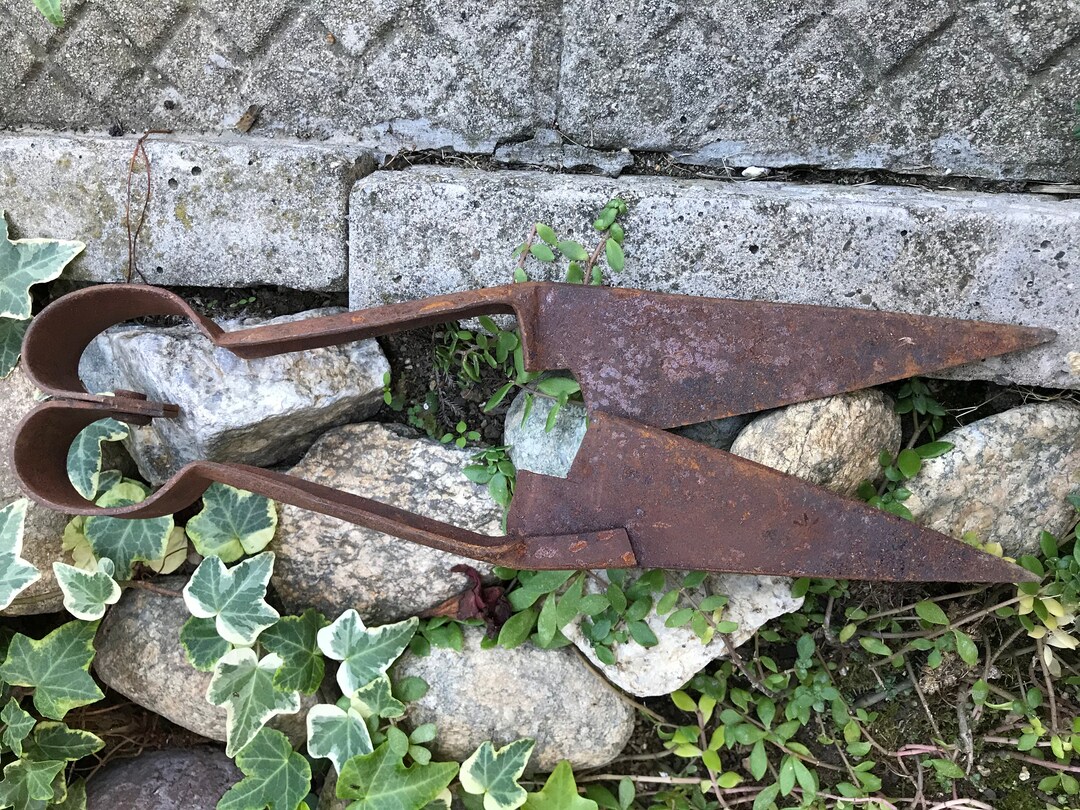 Vintage Antique Sheep Scissors - Rusty Metal Sheep Shears - Large Rust ...