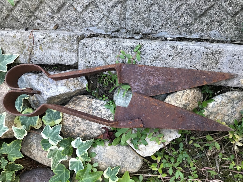 Vintage Antique Sheep Scissors Rusty Metal Sheep Shears - Etsy