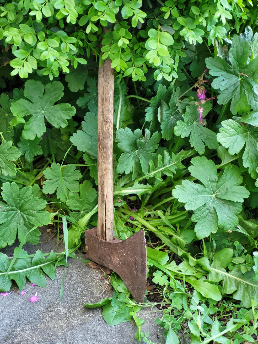 Vintage Axe - Vintage Carpenter Hatchet - Rusty Axe - Vintage Tools ...