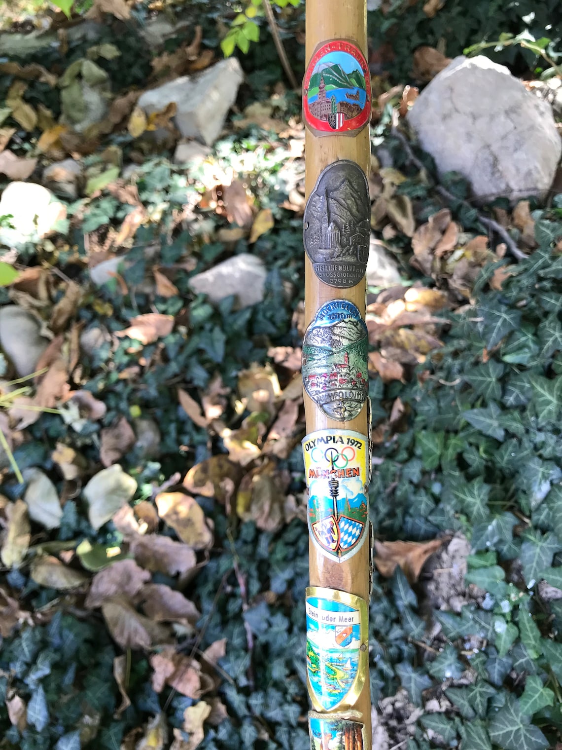 Vintage Cane -germany Cane - Walking Cane With 21 Badges - Antique ...