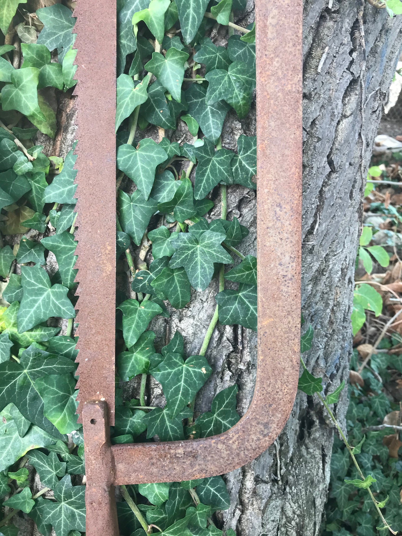 Vintage Old Saw Woodworking Hacksaw Bow Saw Large Saw - Etsy