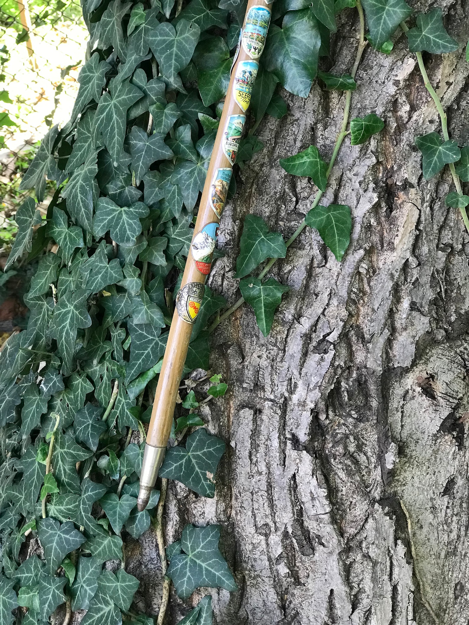 Vintage Cane -germany Cane - Walking Cane With 21 Badges - Antique ...