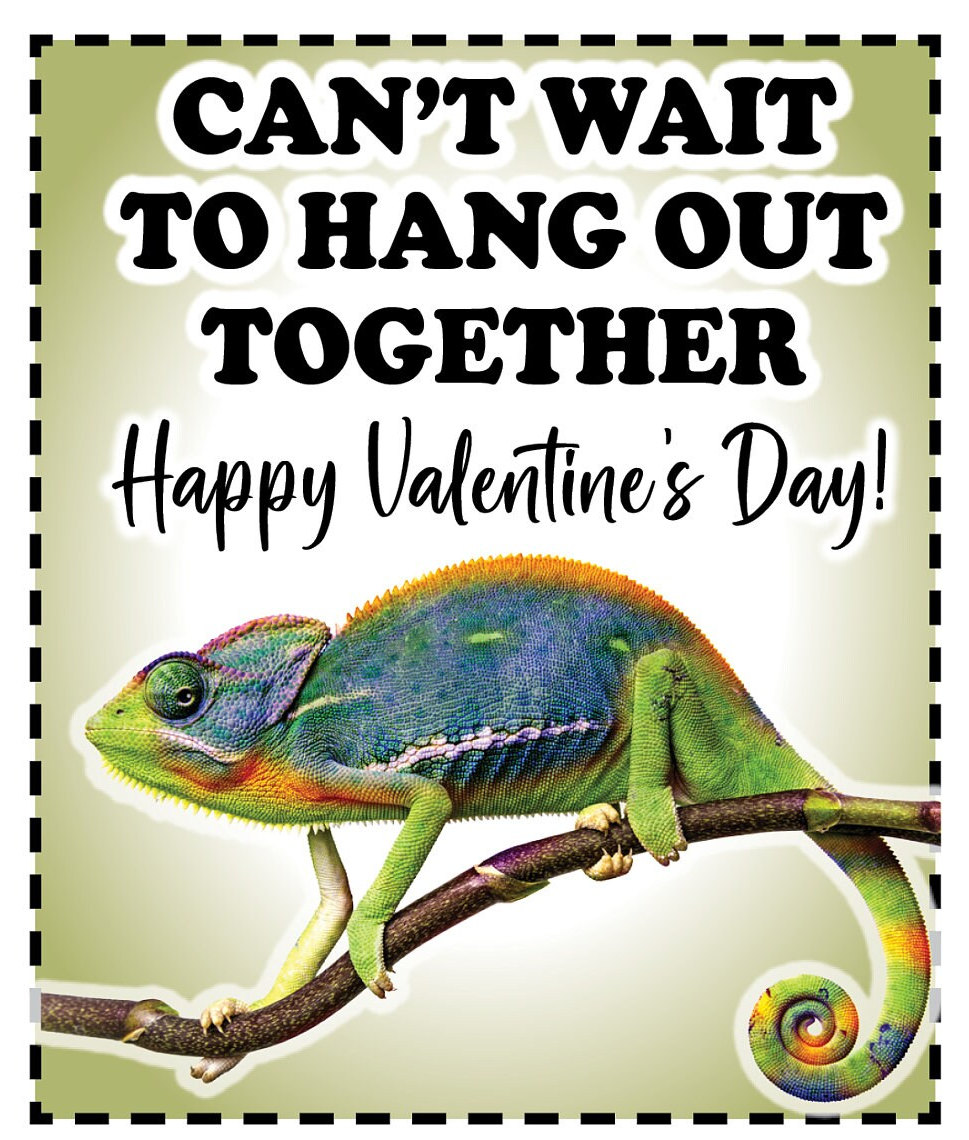 LIZARD VALENTINE Cards/reptiles/digital Download/printable - Etsy