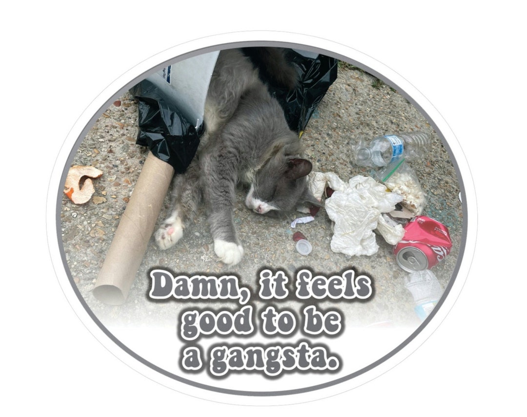 Gangsta Cat Kiss-cut Vinyl Decal - Etsy