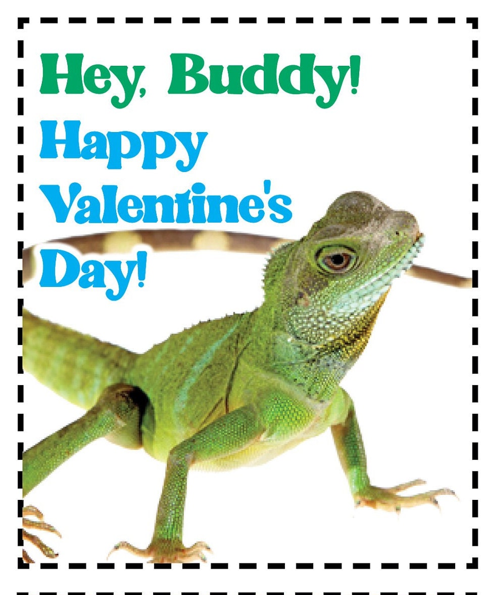 LIZARD VALENTINE Cards/reptiles/digital Download/printable - Etsy