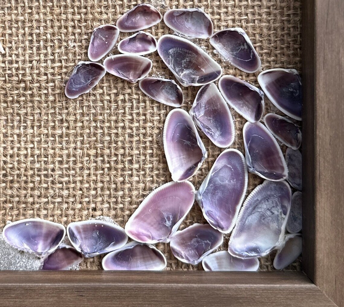 Seashell Art : Tidal Wave - Etsy