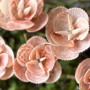 Handmade Seashell Flowers - Etsy