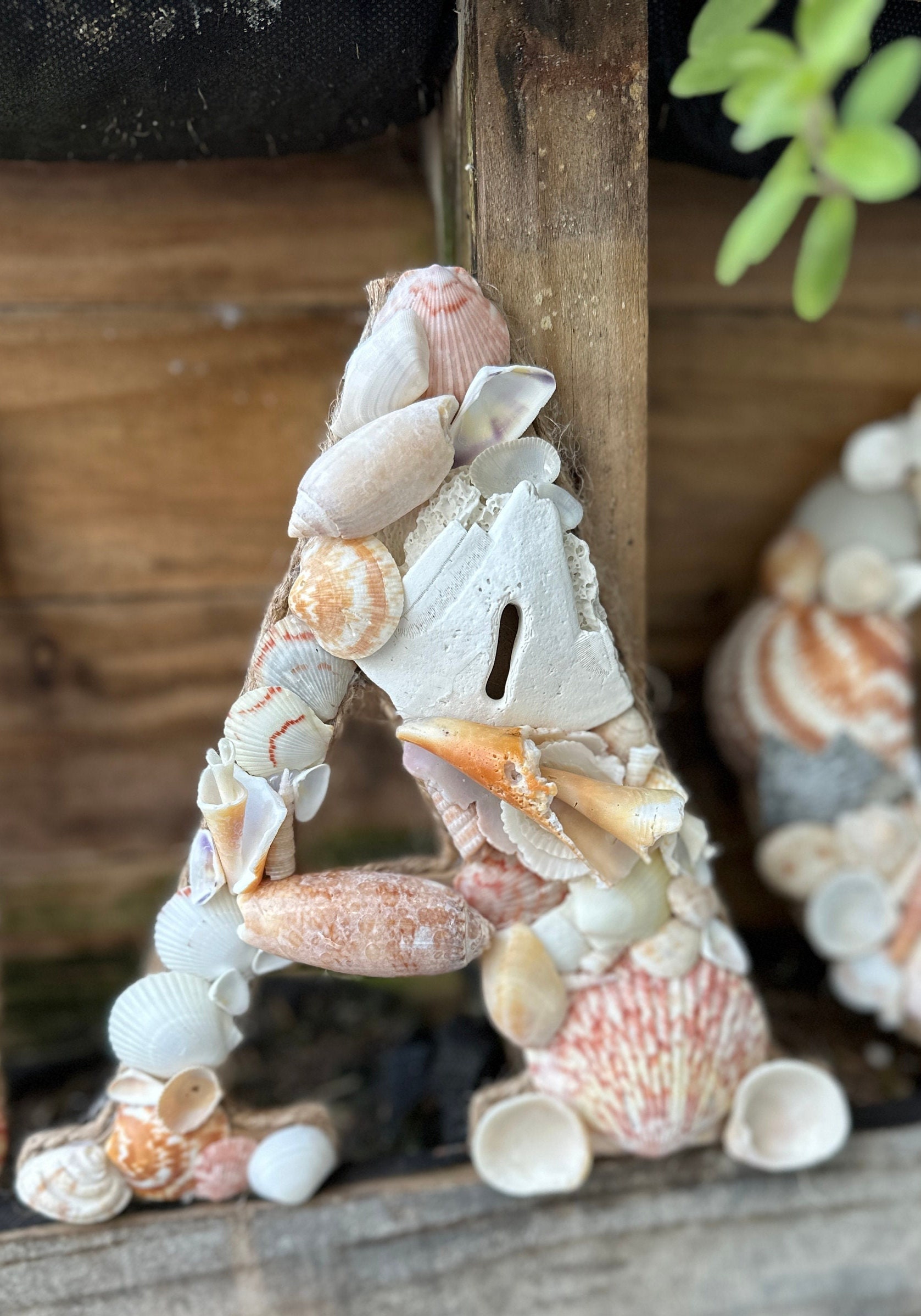 Seashell Letters : "beach Life" - Etsy
