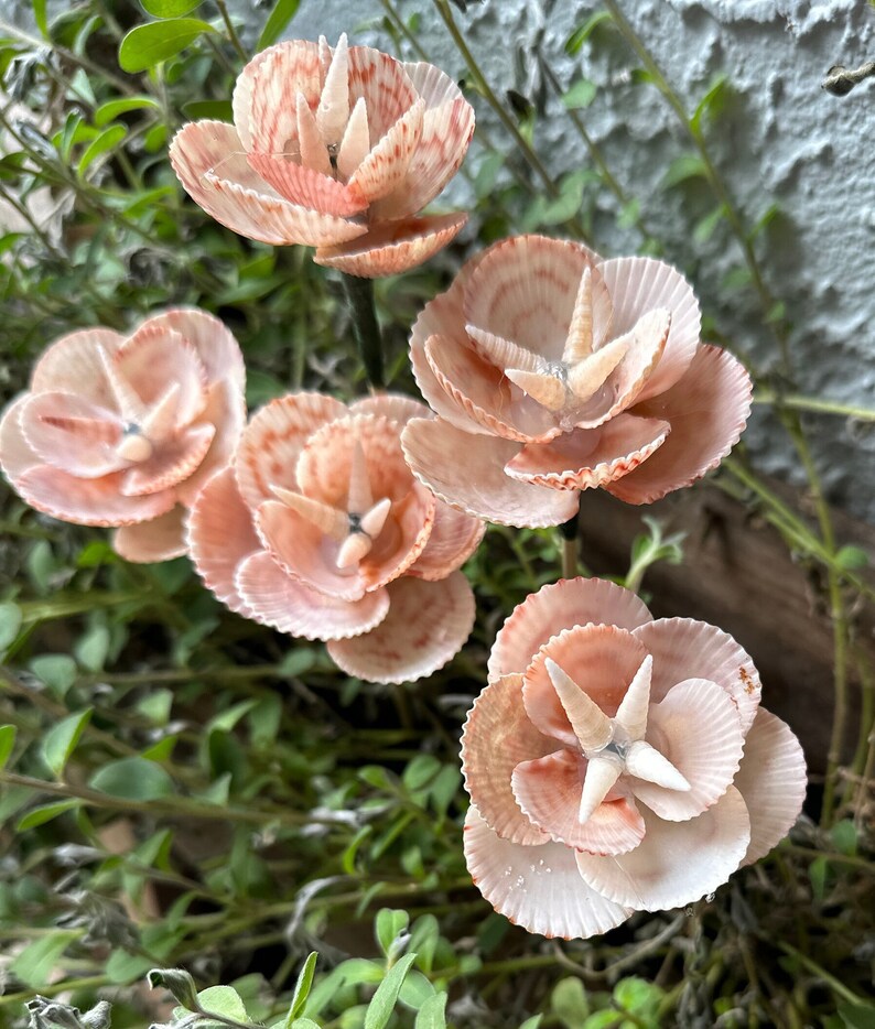 Handmade Seashell Flowers - Etsy