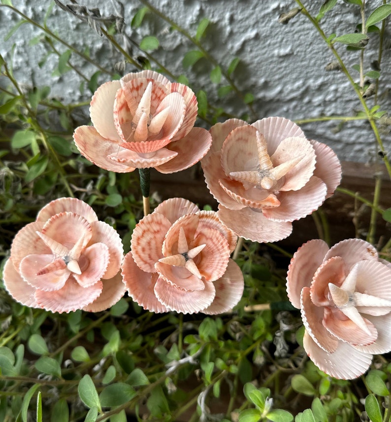 Handmade Seashell Flowers - Etsy