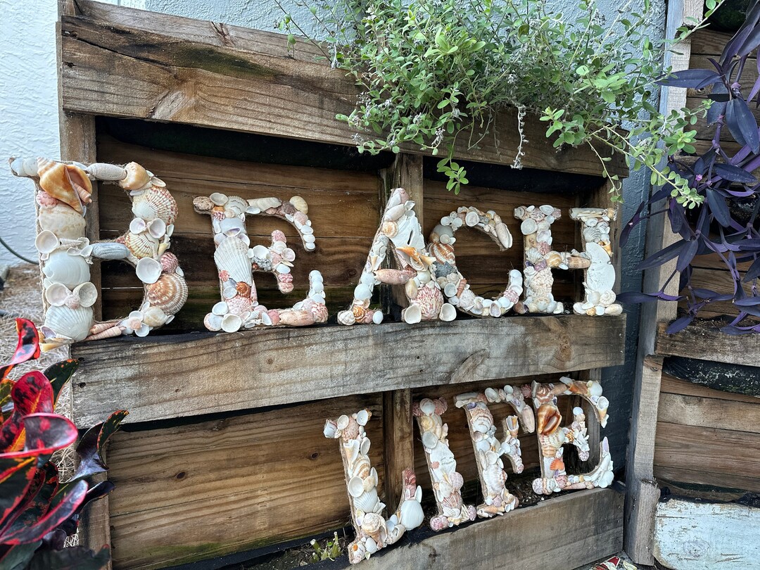 Seashell Letters : "beach Life" - Etsy