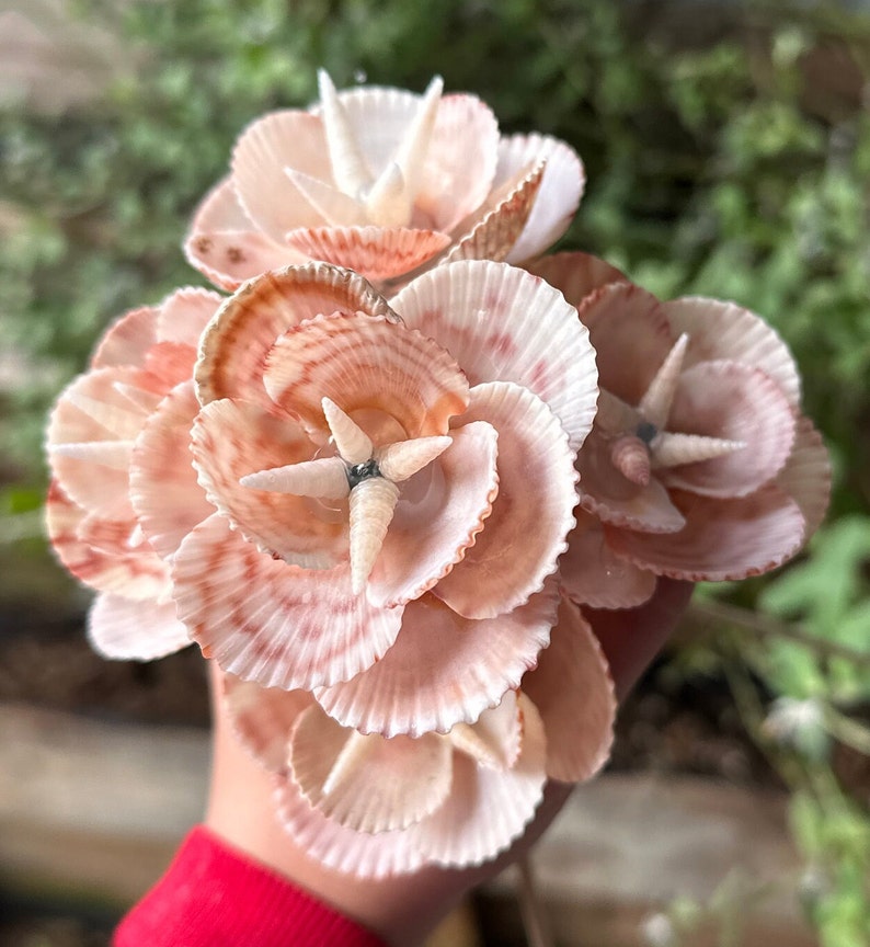 Handmade Seashell Flowers - Etsy