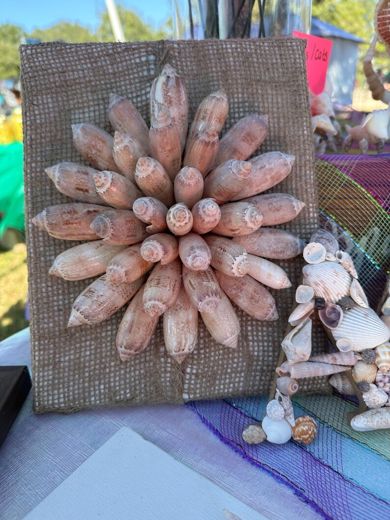 Canvas Seashell Art - Olive Shell Cluster - Etsy