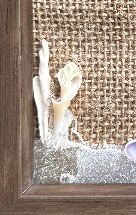 Seashell Art : Tidal Wave - Etsy