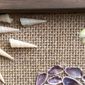 Seashell Art : Tidal Wave - Etsy