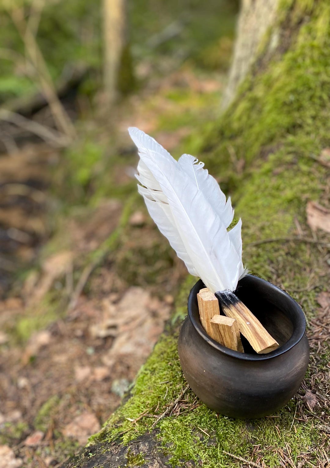 Swan Smudge Feather Prayer Ceremonial Spiritual Feather - Etsy