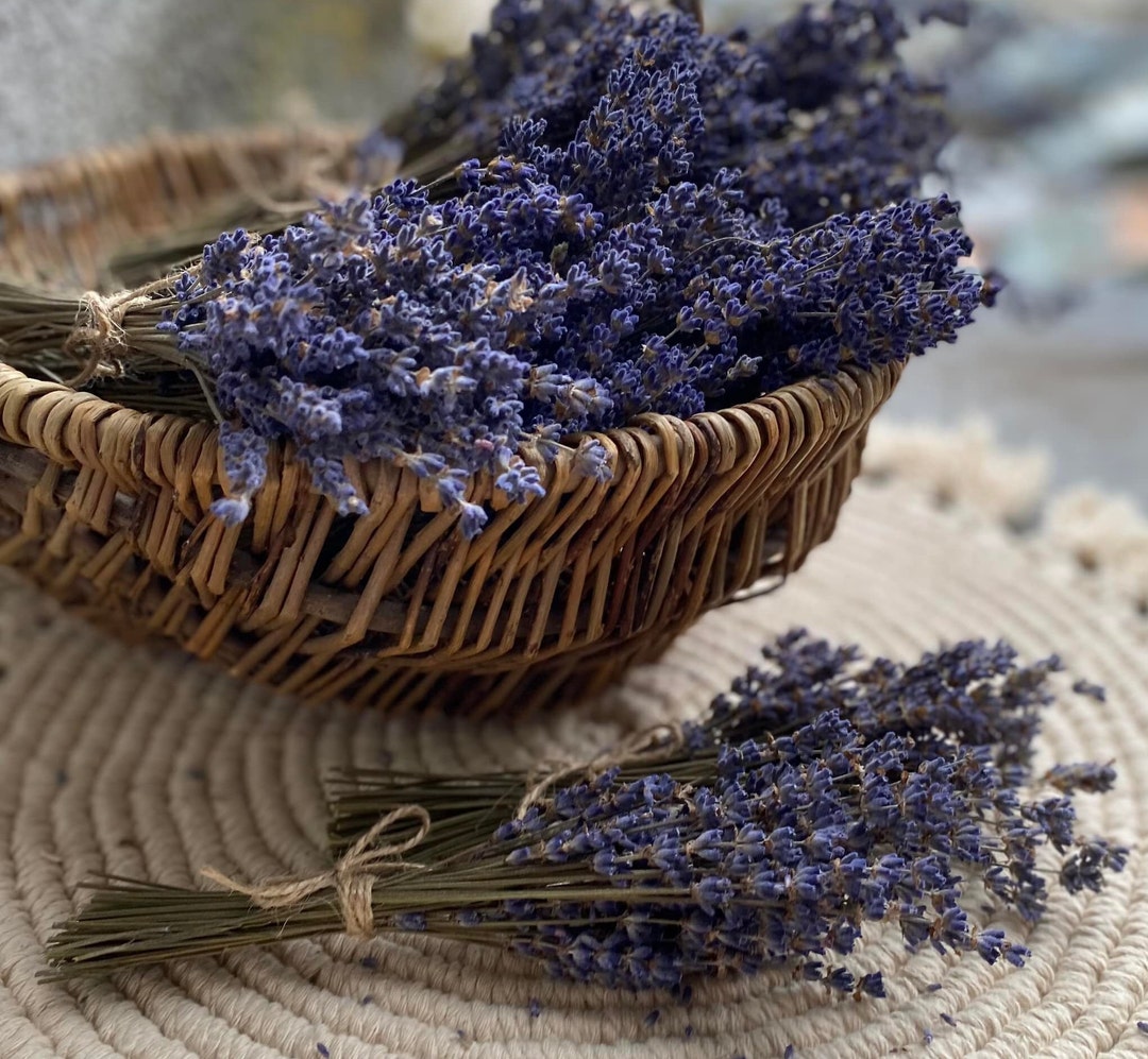 Natural Organic Dried Lavender Bunch Lavender Flower Bundle 50 Stems - Etsy