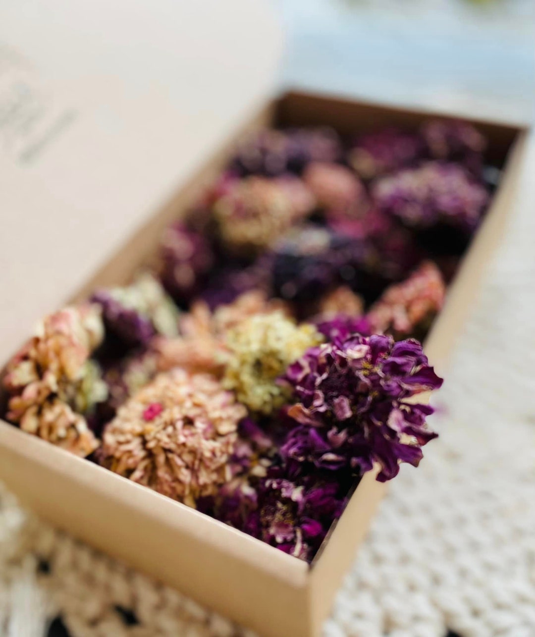 Natural Dried Zinnia Flowers Dry Flowers Craft Project Preserved ...