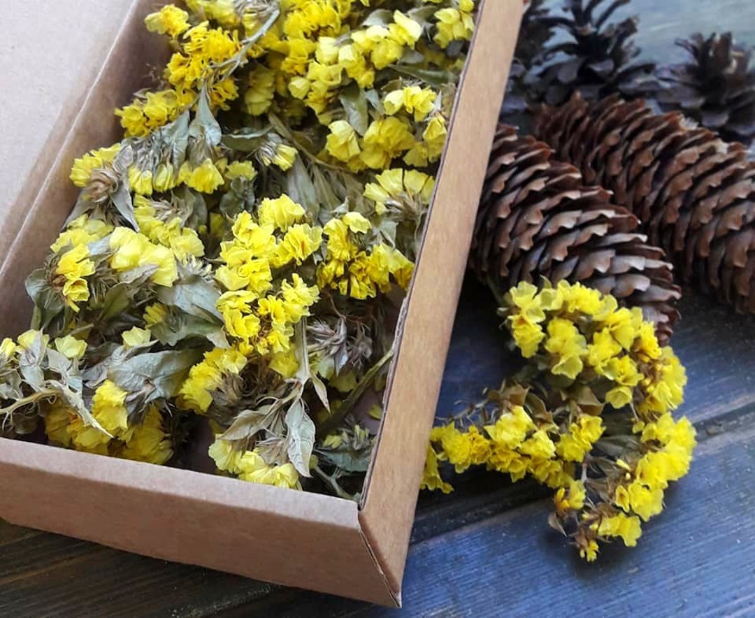 Organic Dried Yellow Limonium Flowers Craft Projects Florist Supply - Etsy