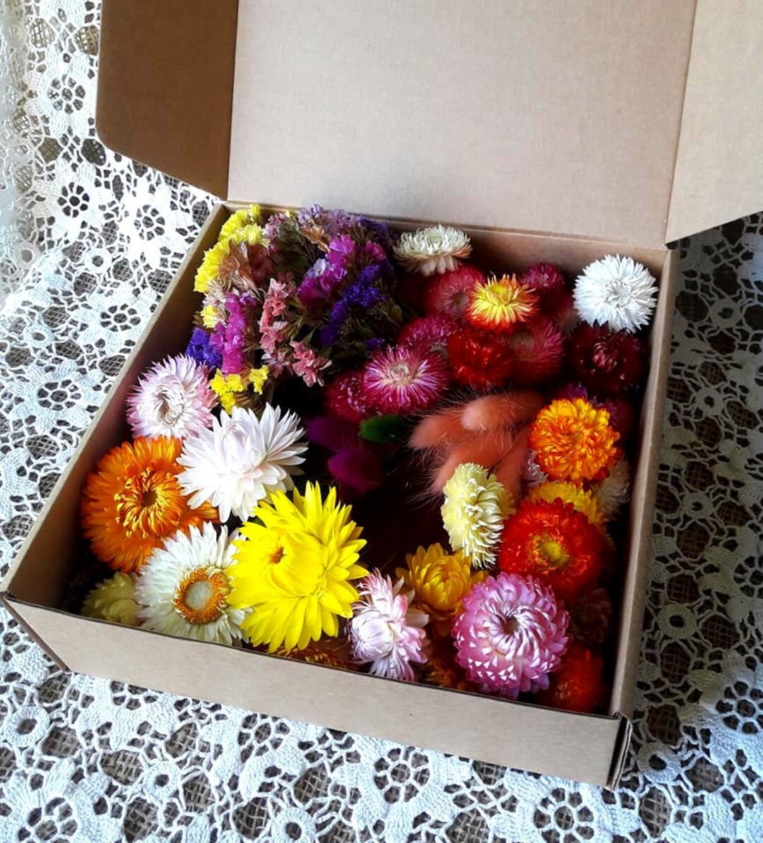 Box for Creativity From Dried Flowers Assorted From Rainbow Crafts ...