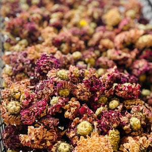 Natural Dried Zinnia Flowers Dry Flowers Craft Project Preserved ...